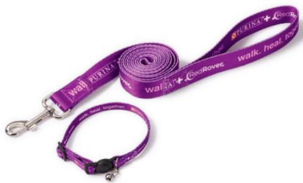 Help survivors - and their pets - escape abuse - UW Combined Fund Drive