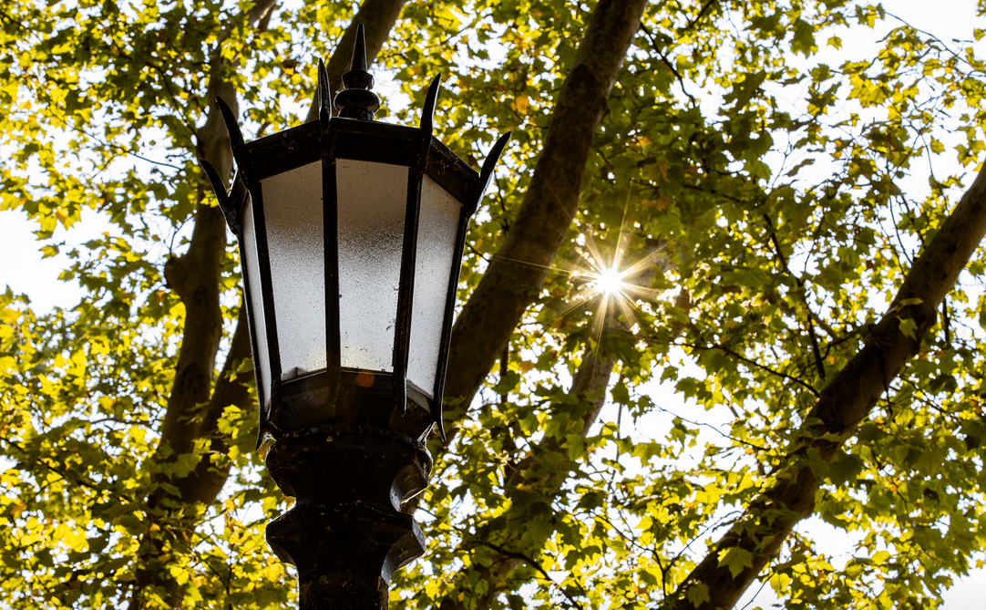 Human Resources - University of Washington Human Resources